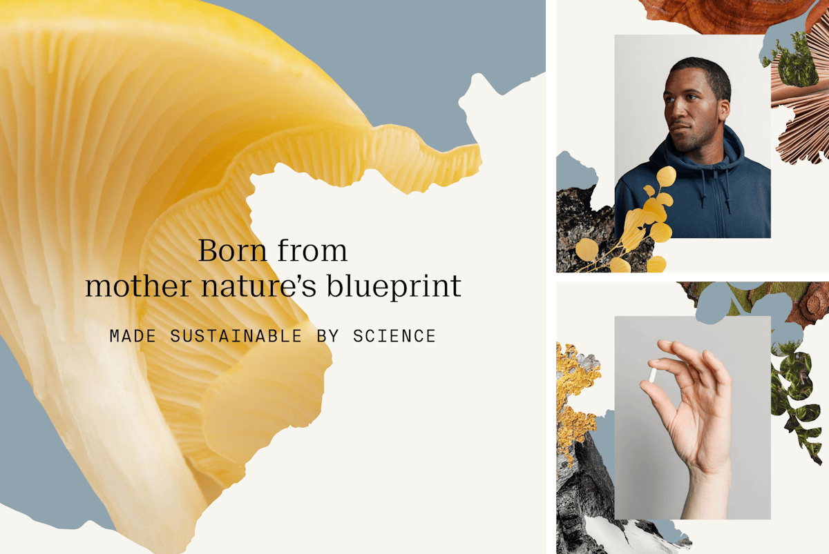 A consumer supplement company gets a… | One Design Company