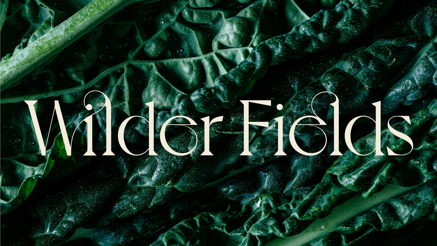 News: Welcome to Wilder Fields | One Design Company