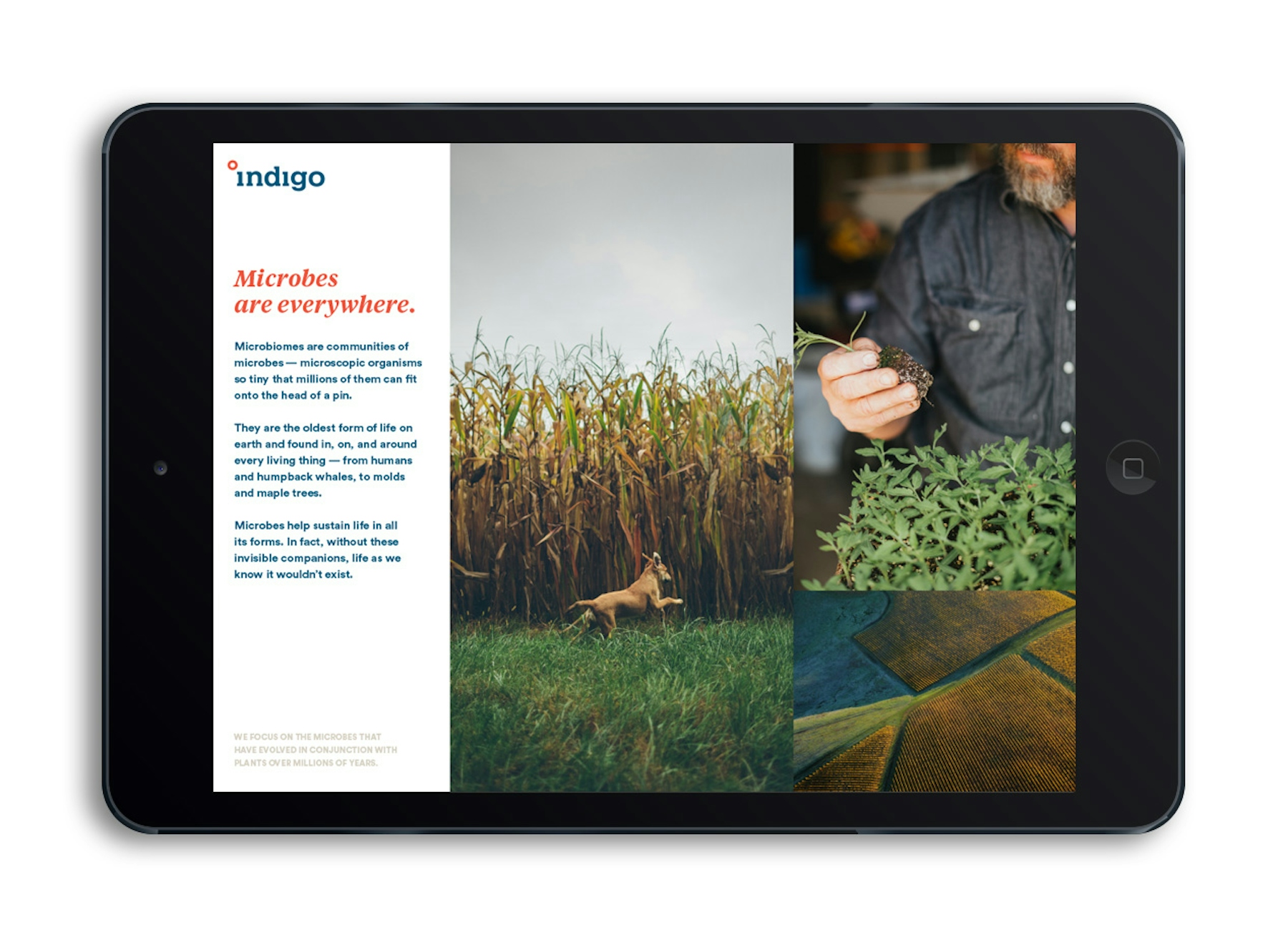 Indigo Agriculture | One Design Company